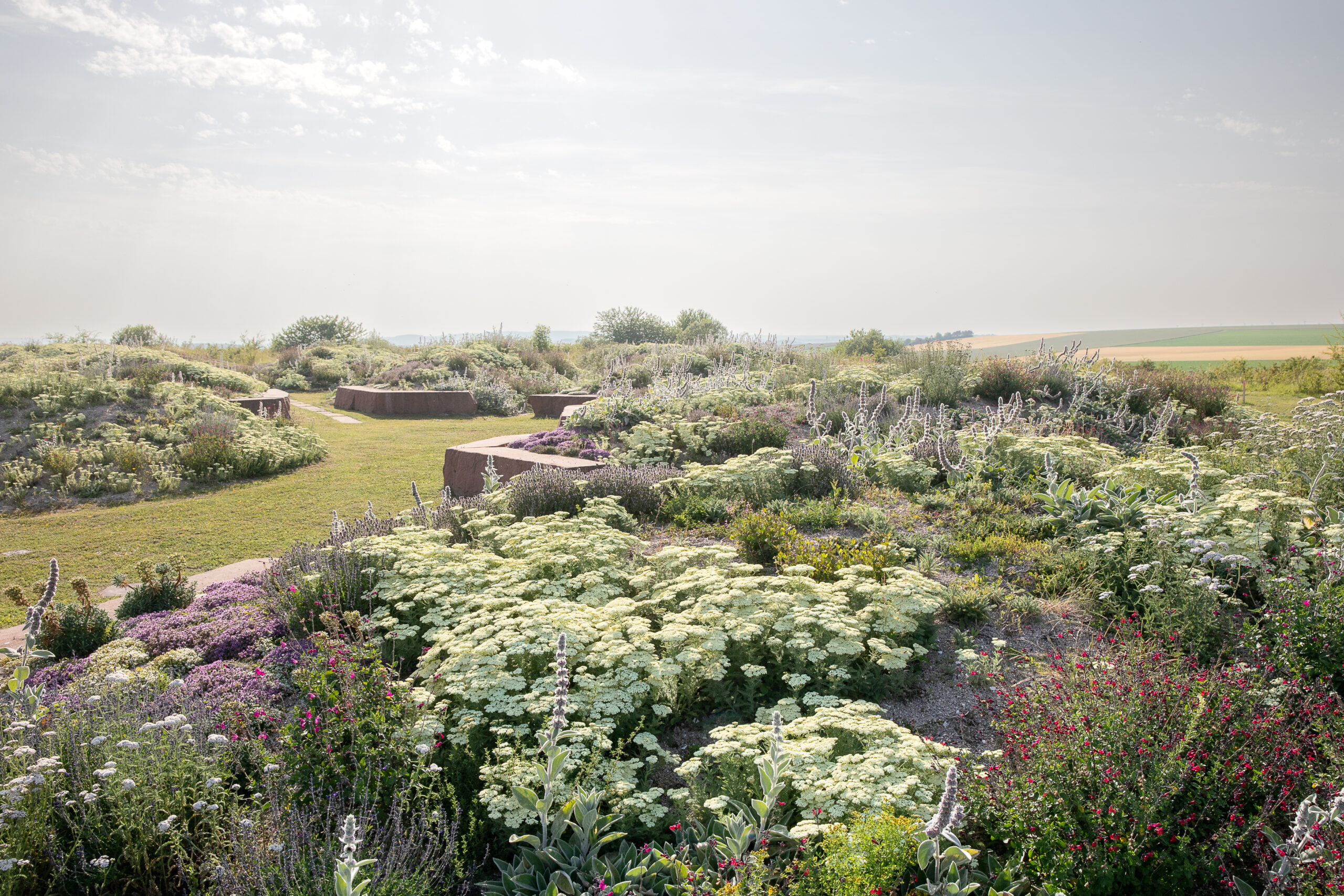 American Peace Garden – “Lands of Promises”, 2023 | Art & jardins ...